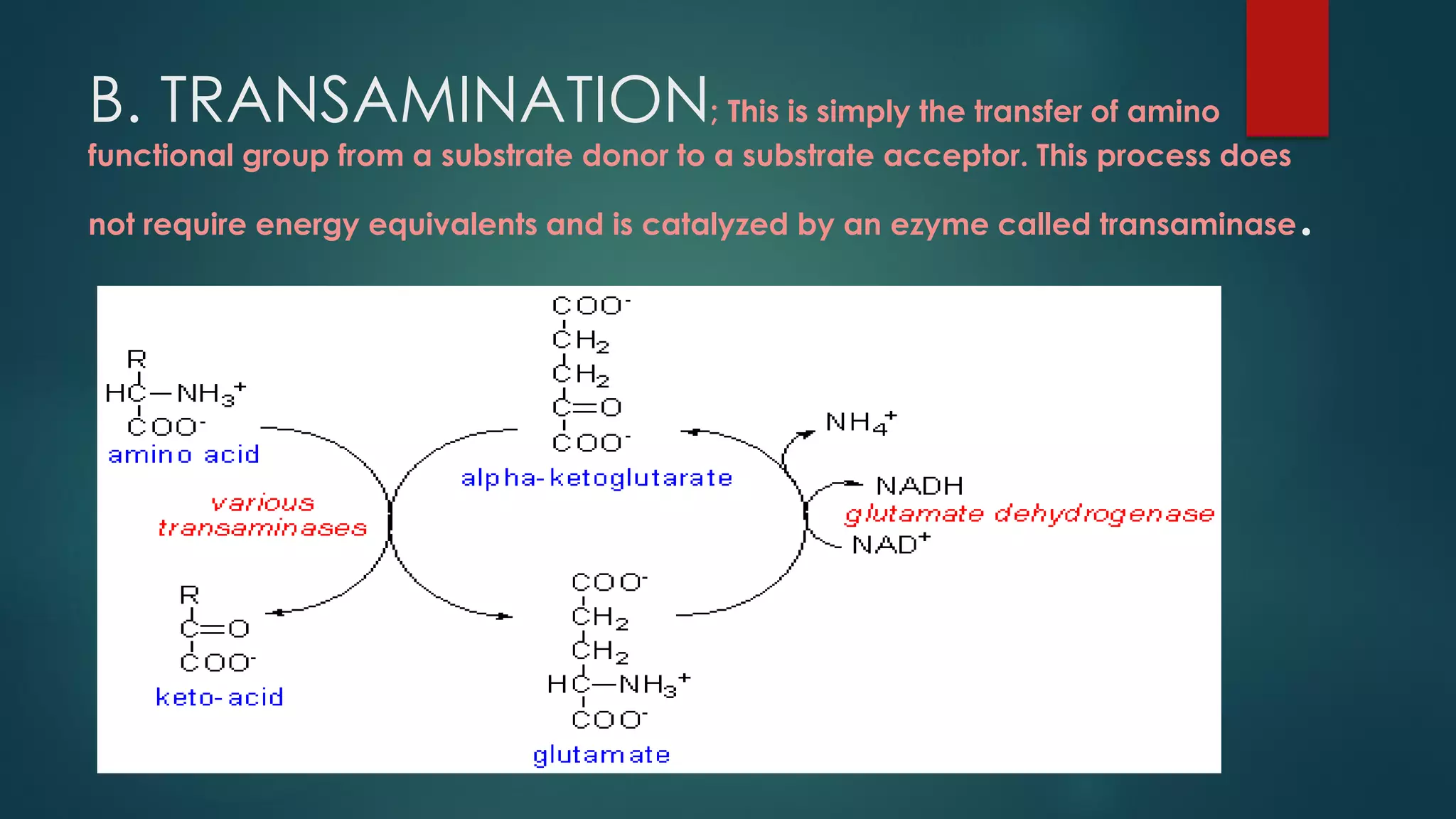 Biochemistry of biological nitrogen fixation | PDF
