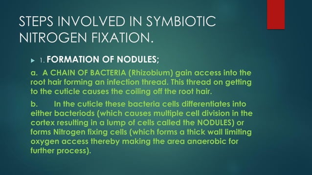 Biochemistry of biological nitrogen fixation | PDF | Chemistry | Science