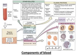 Biochemistry of blood | PDF