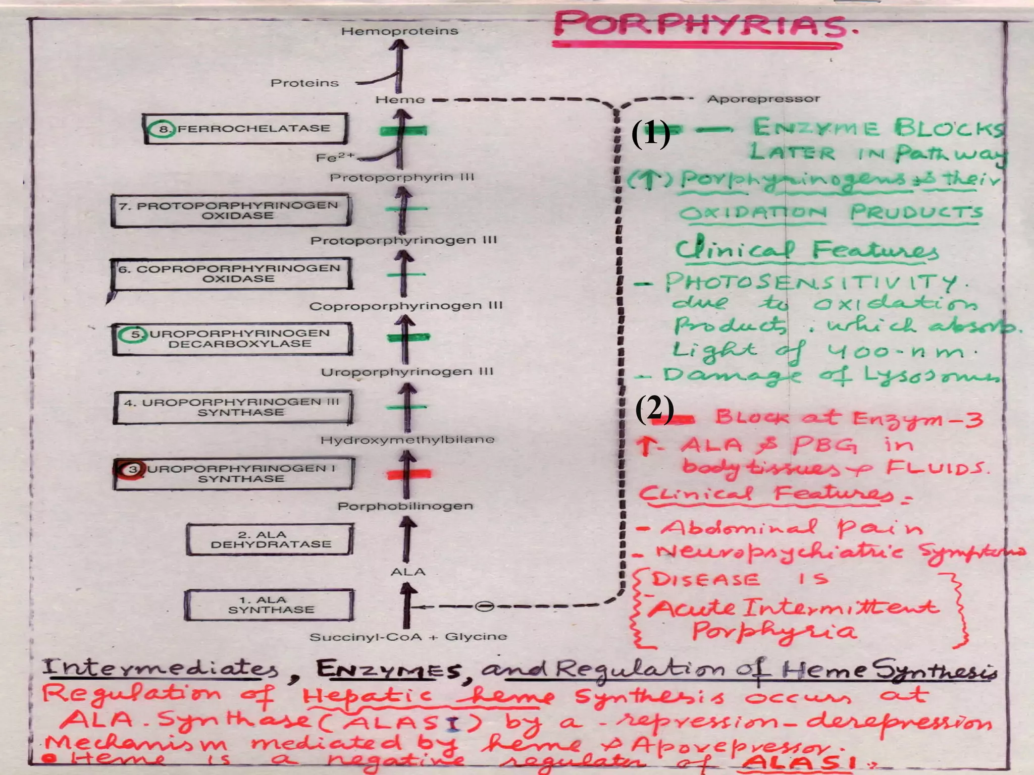Biochemistry of blood bds | PPT