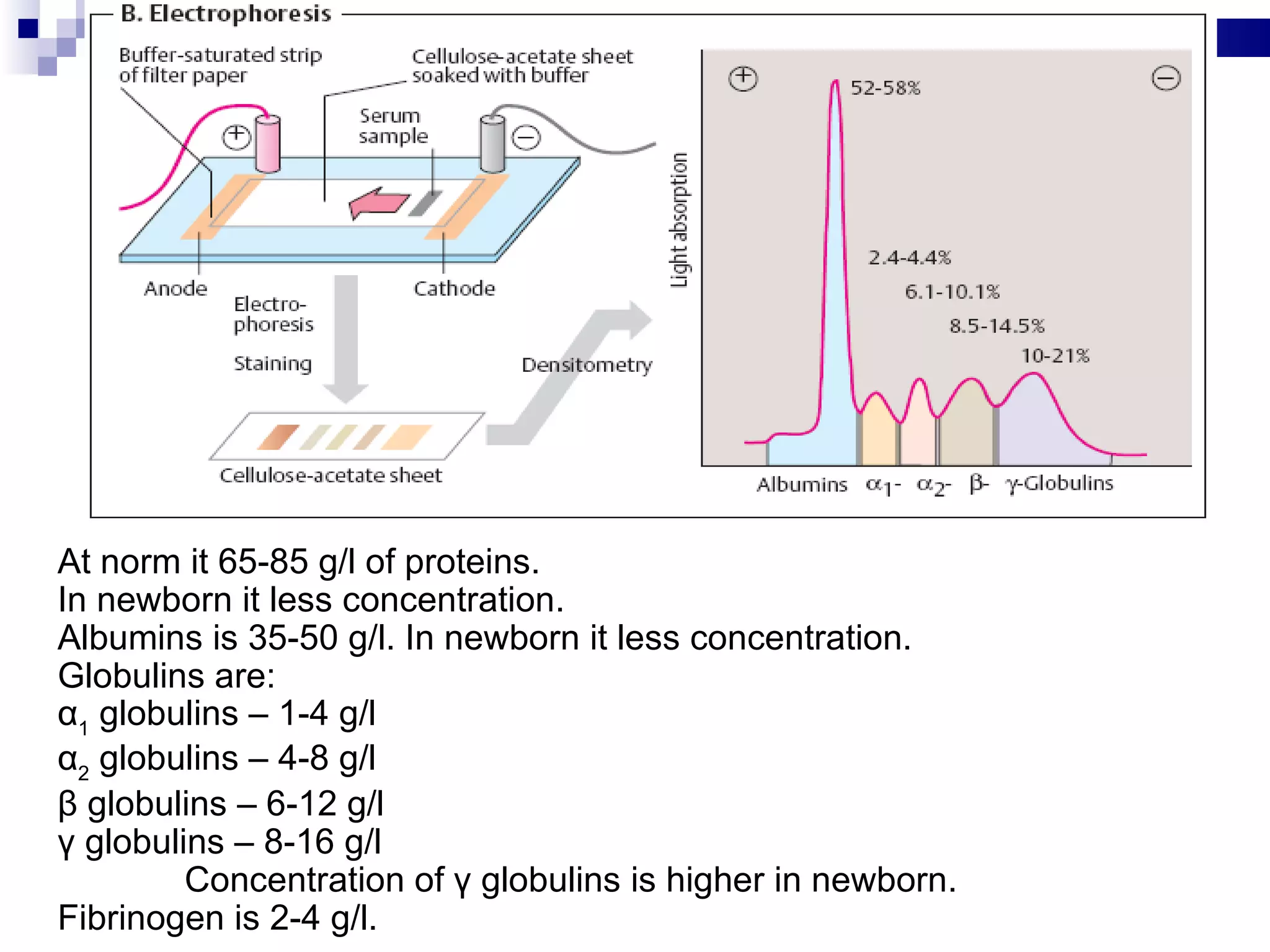 Biochemistry of blood, heme biosynthesis and degradation | PPT