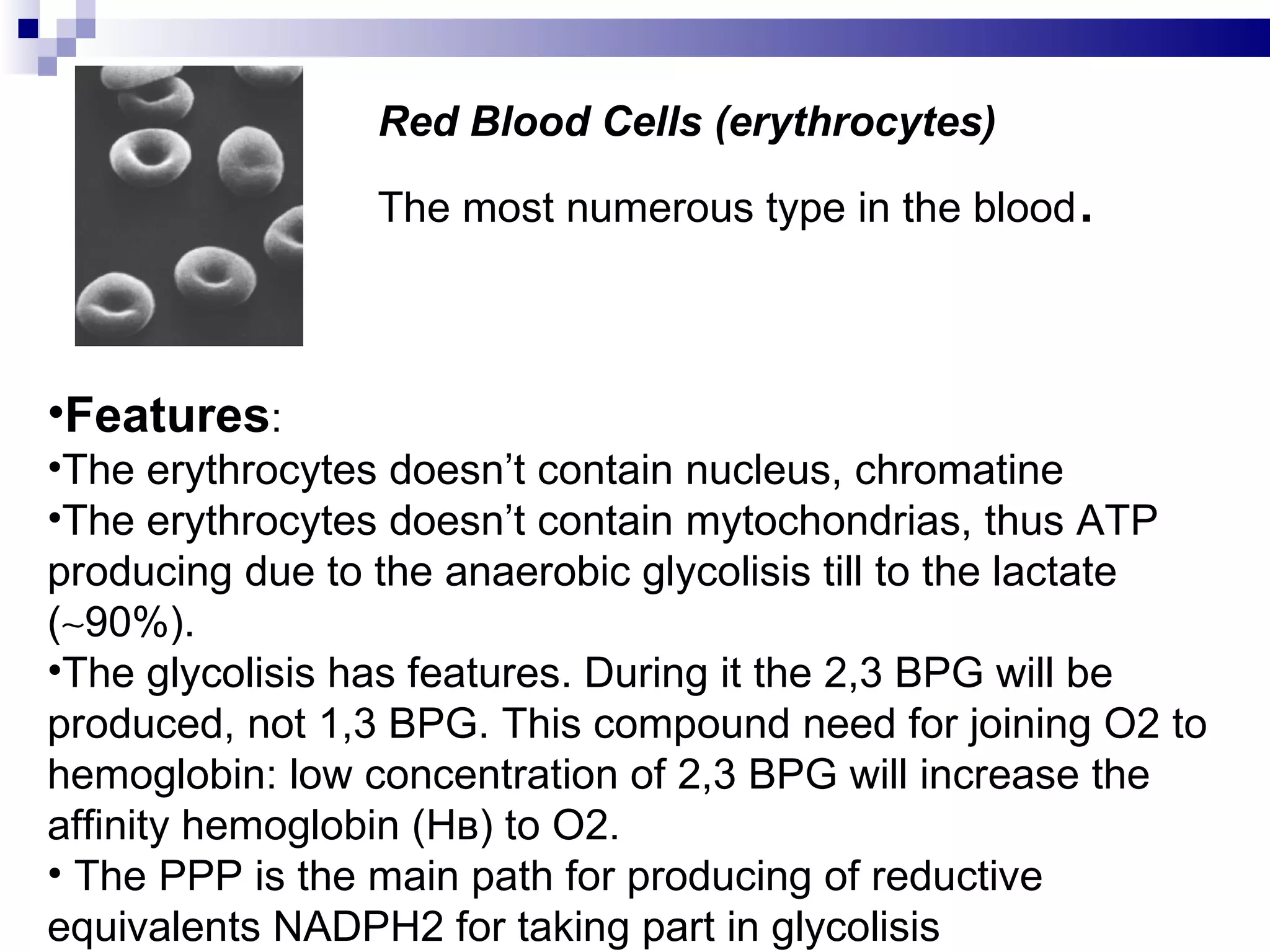 Biochemistry of blood, respiratory function of erythrocytes | PPT