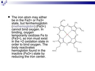 Biochemistry of blood, respiratory function of erythrocytes | PPT
