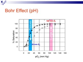 Biochemistry of blood, respiratory function of erythrocytes | PPT