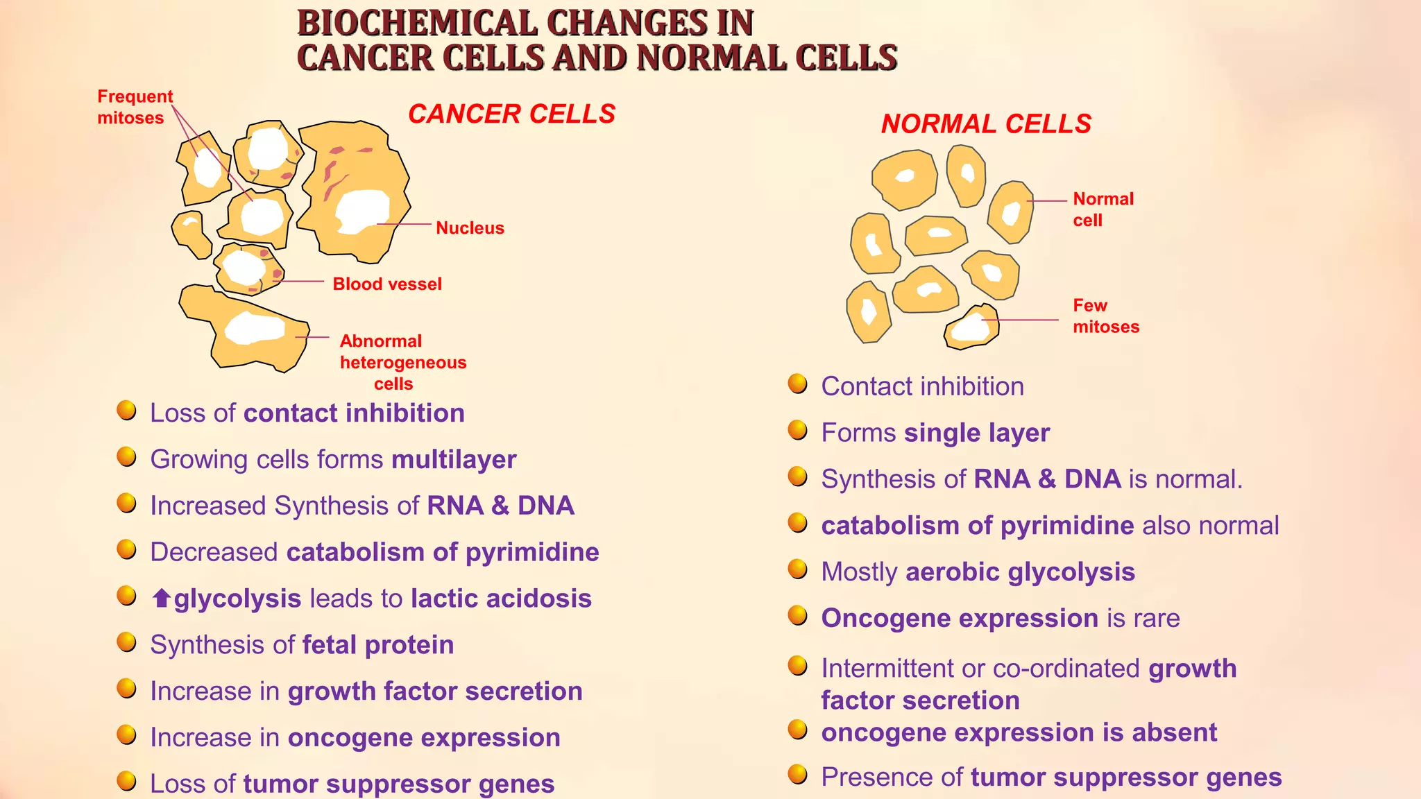 Biochemistry of cancer | PPSX