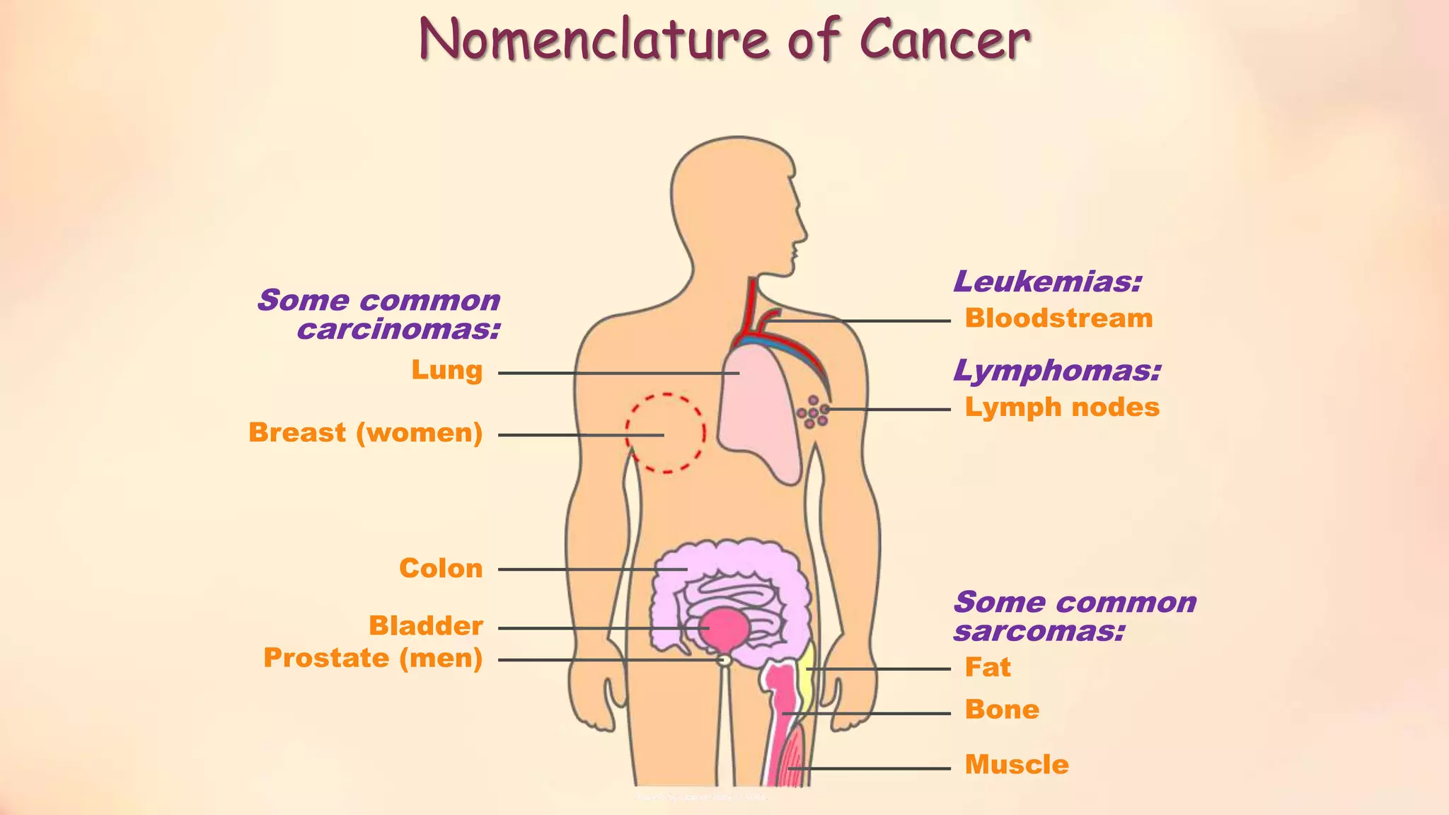 Biochemistry of cancer | PPSX