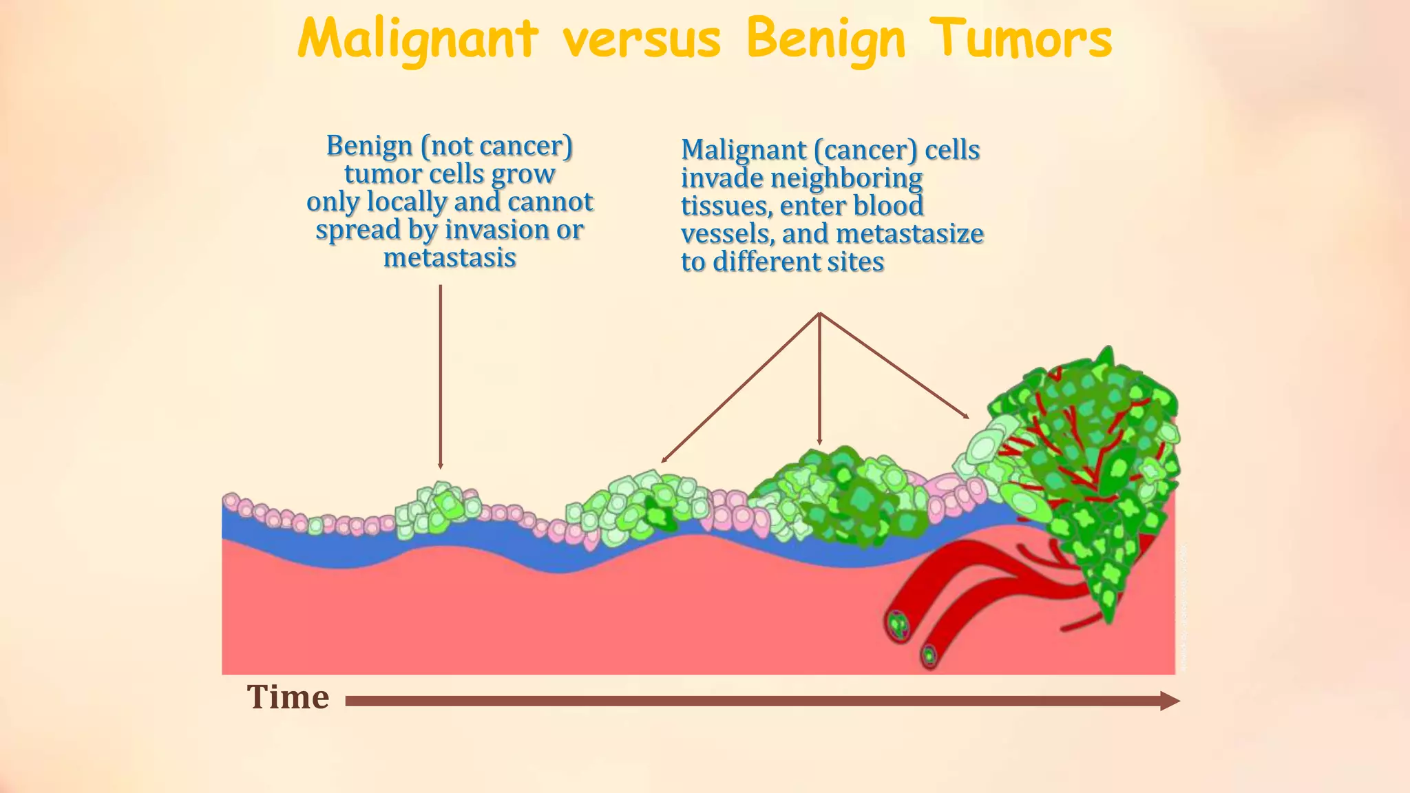 Biochemistry of cancer | PPSX