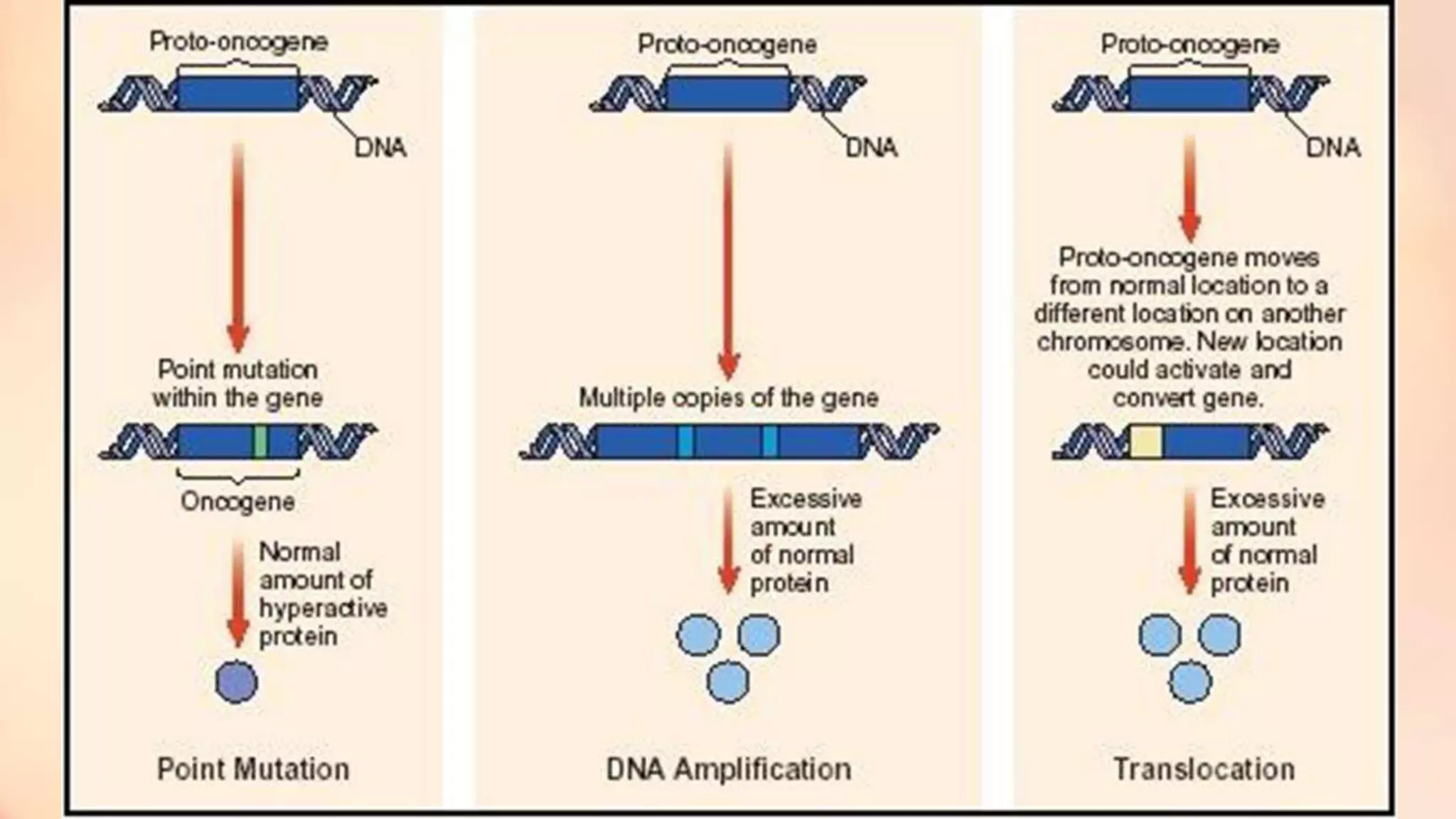 Biochemistry of cancer | PPSX