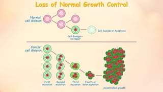Biochemistry of cancer | PPSX