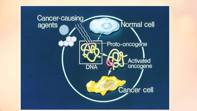 Biochemistry of cancer | PPSX | Cancer | Diseases and Conditions