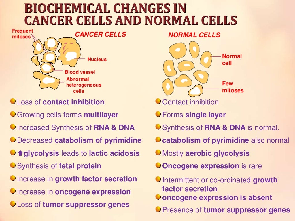 Biochemistry of cancer