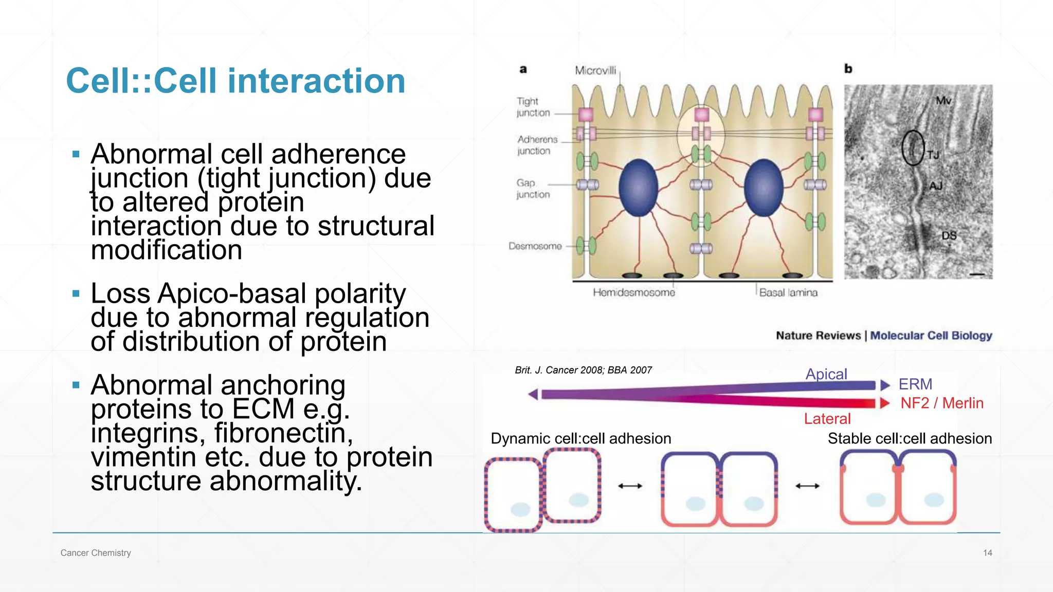 Biochemistry of cancer 101 | PPTX