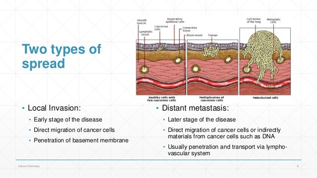 Biochemistry of cancer 101