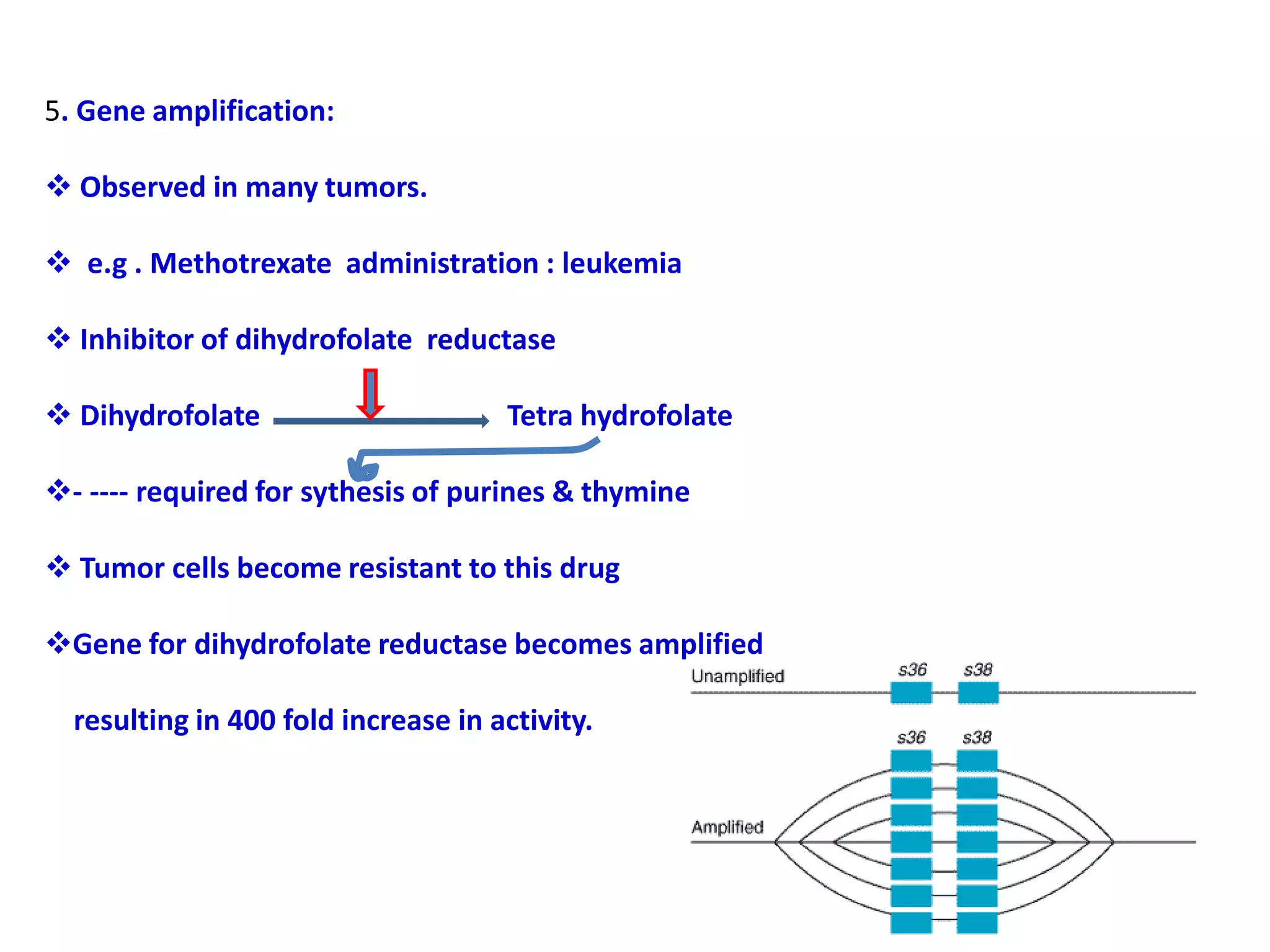 Biochemistry of cancer | PPTX