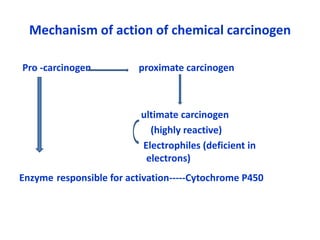 Biochemistry of cancer | PPTX