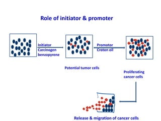 Biochemistry of cancer ,An overview | PPTX