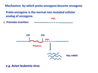 Biochemistry of cancer ,An overview | PPTX