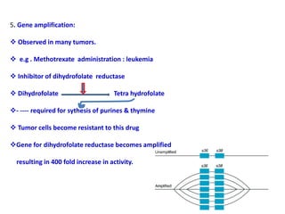 Biochemistry of cancer ,An overview | PPTX