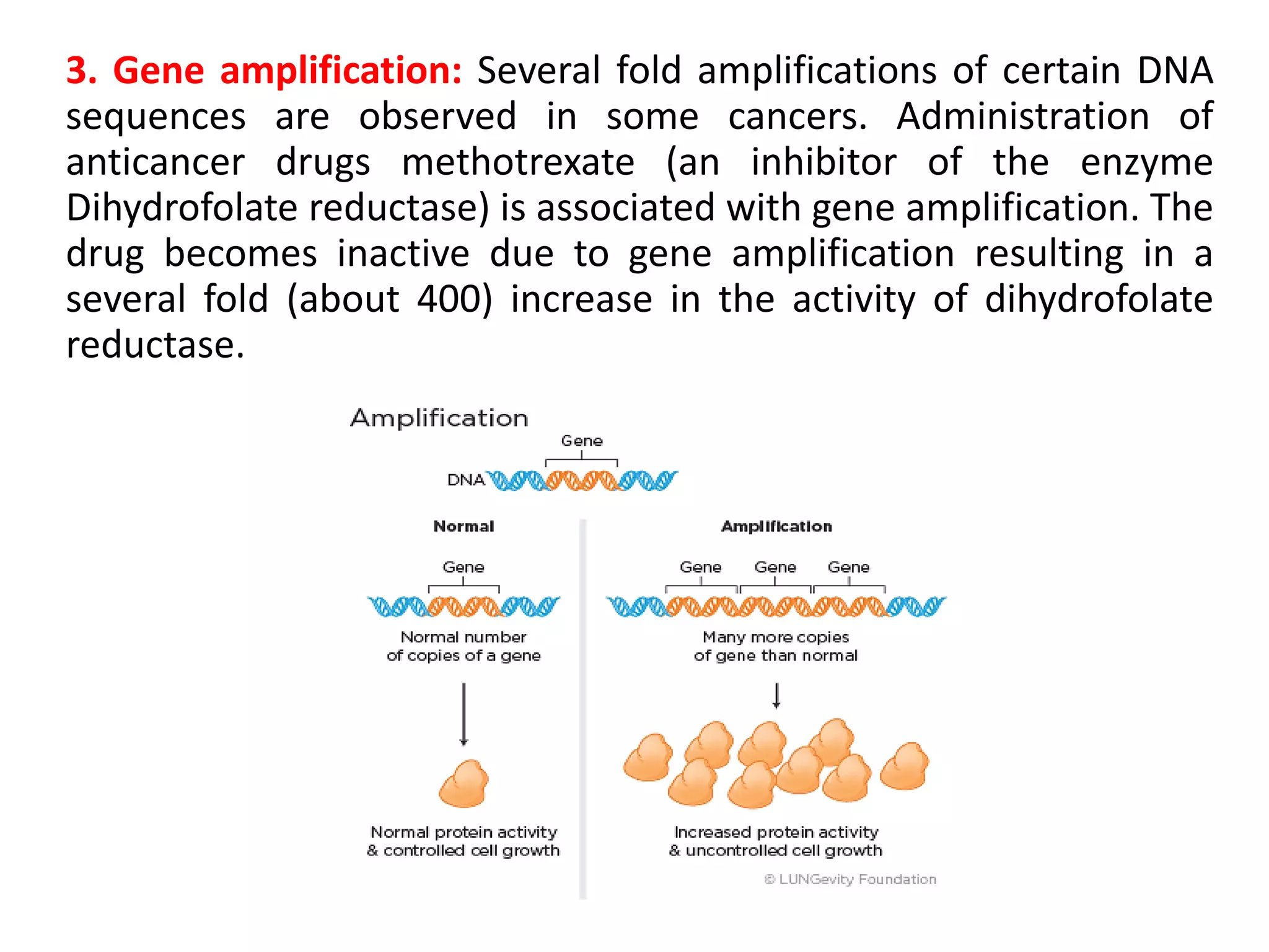 Biochemistry of cancer | PDF