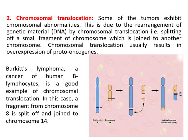Biochemistry of cancer | PDF | Cancer | Diseases and Conditions