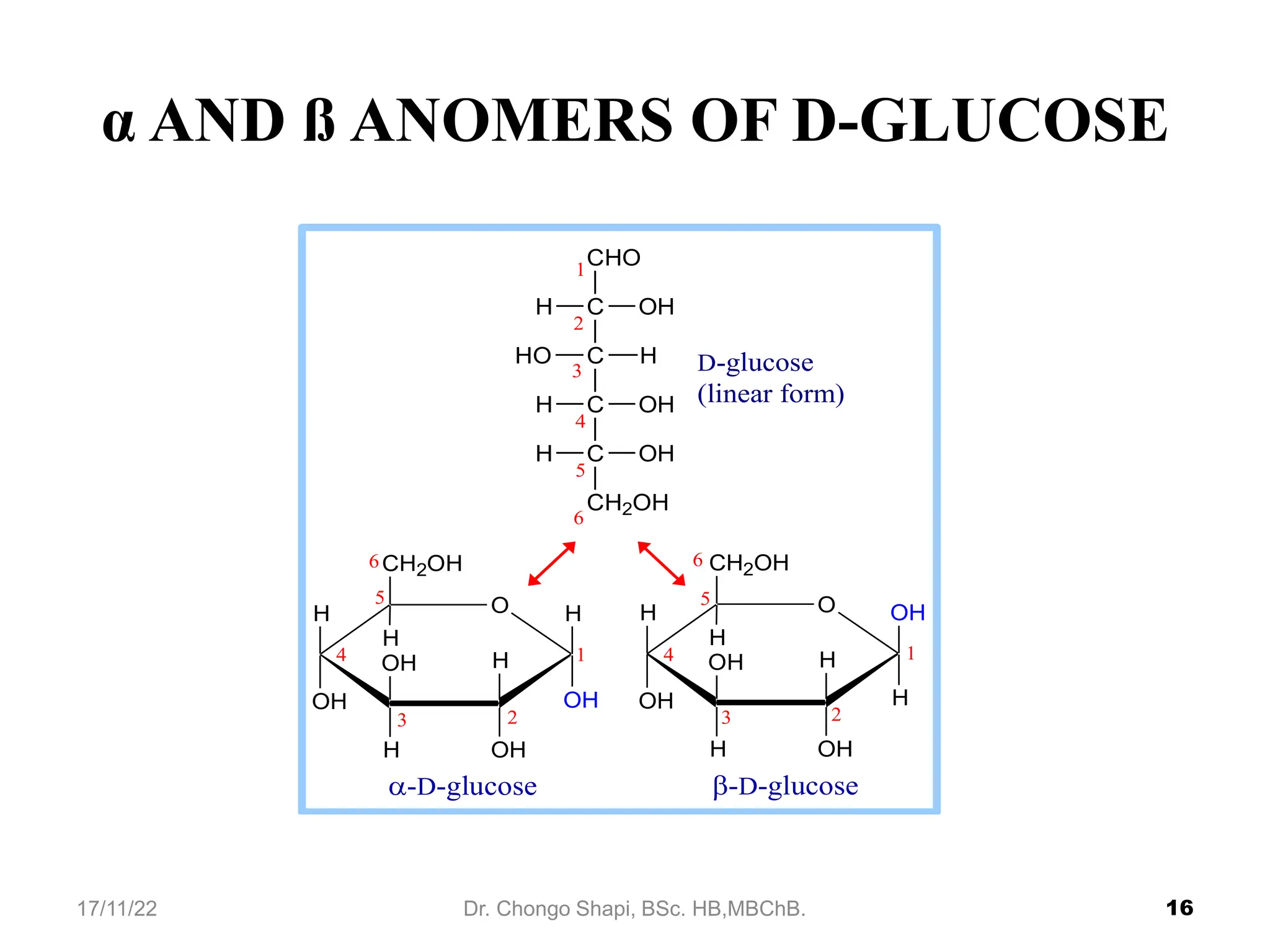 Biochemistry of Carbohydrates.. By Shapi.pdf