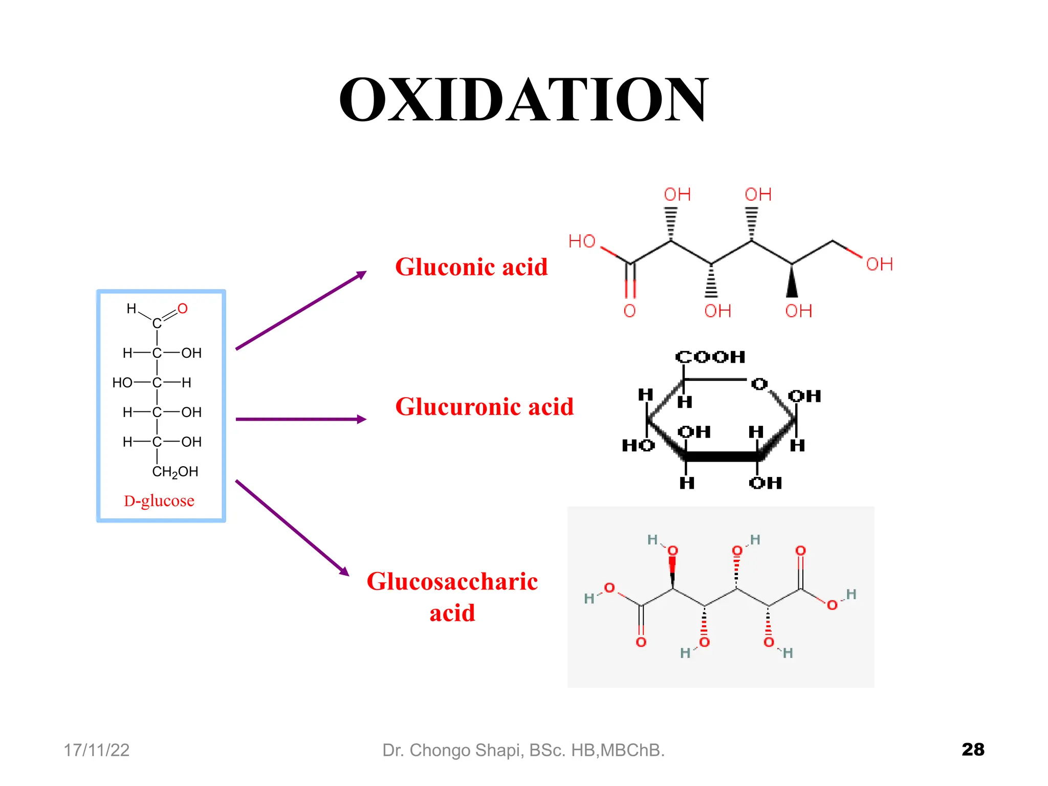 Biochemistry of Carbohydrates.. By Shapi.pdf