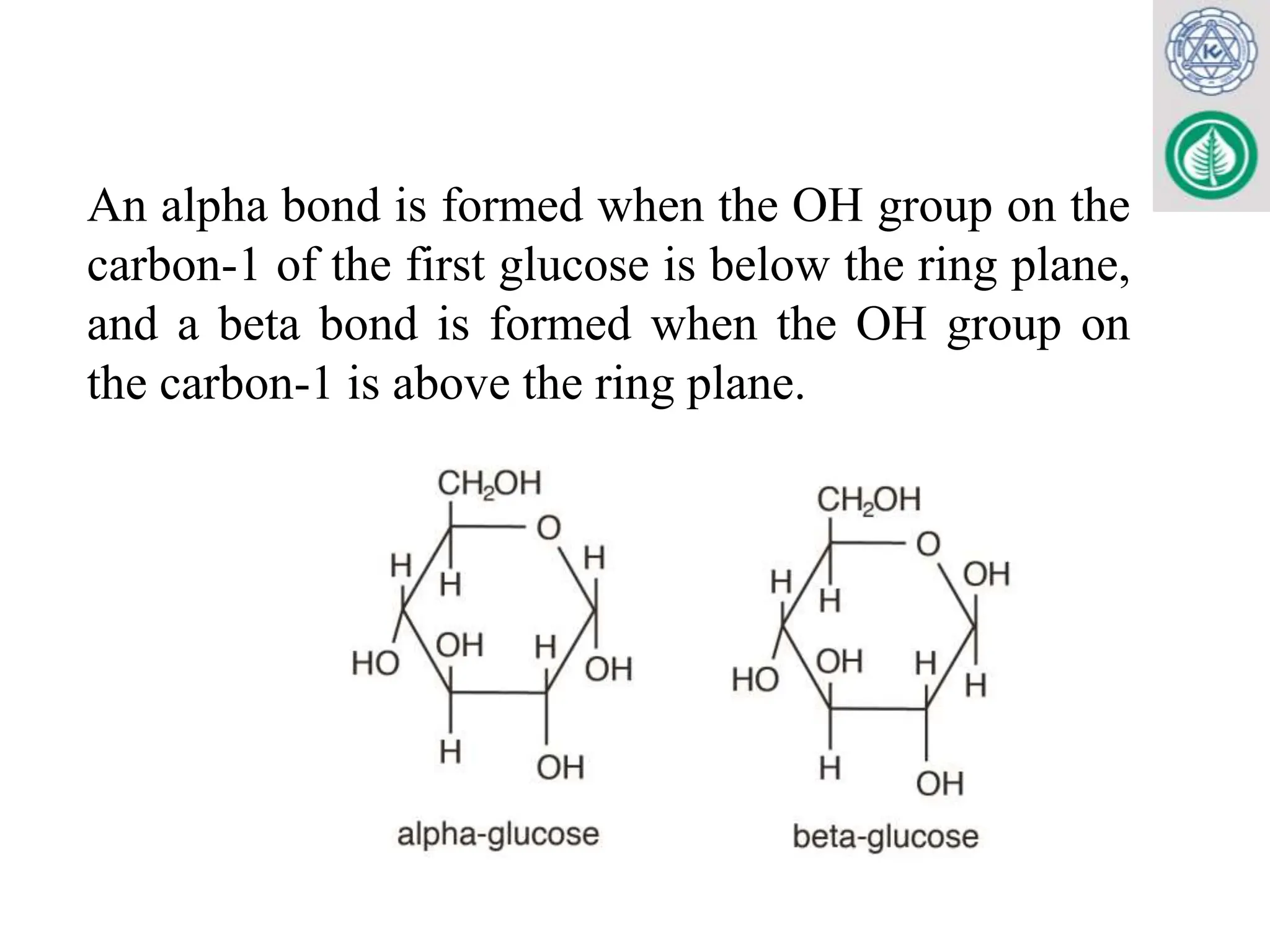 Biochemistry of Carbohydrates for MBBS, BDS, Lab Med 2024.pptx