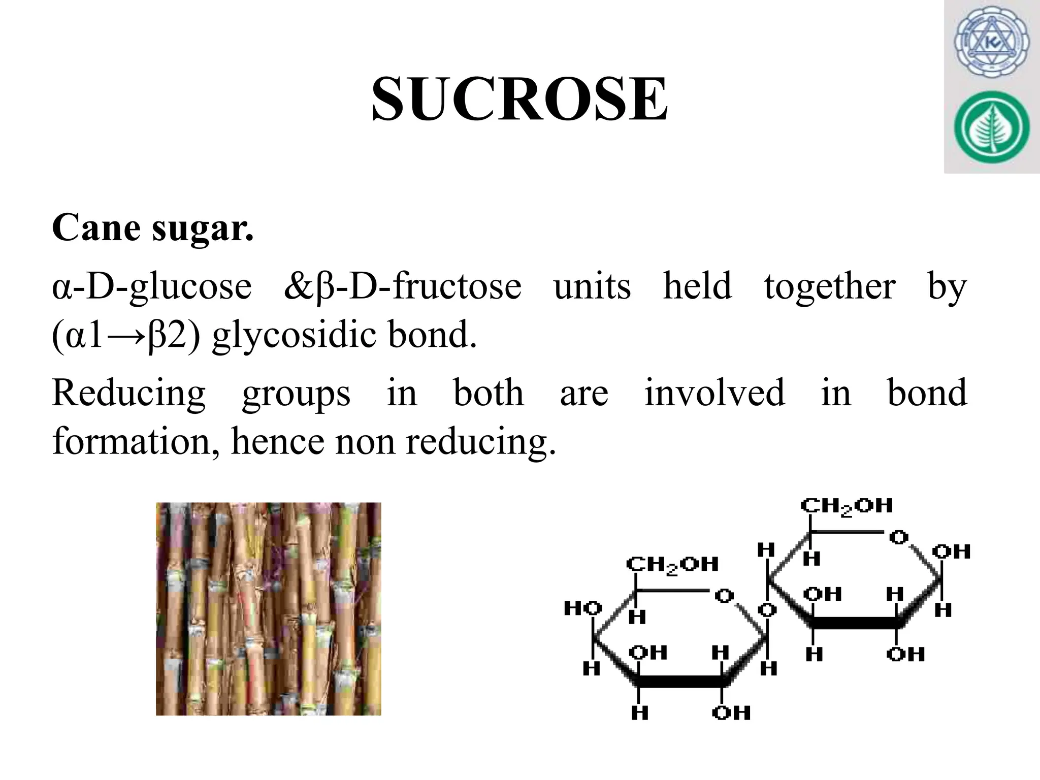 Biochemistry of Carbohydrates for MBBS, BDS, Lab Med 2024.pptx