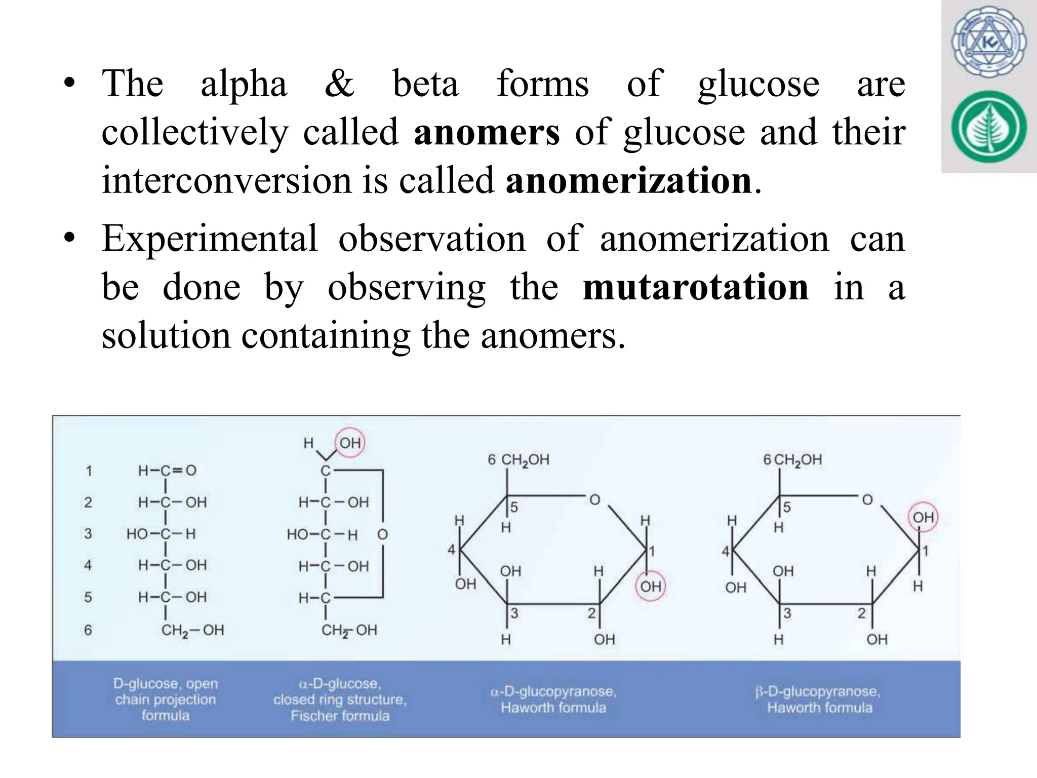 Biochemistry of Carbohydrates for MBBS, BDS, Lab Med 2024.pptx