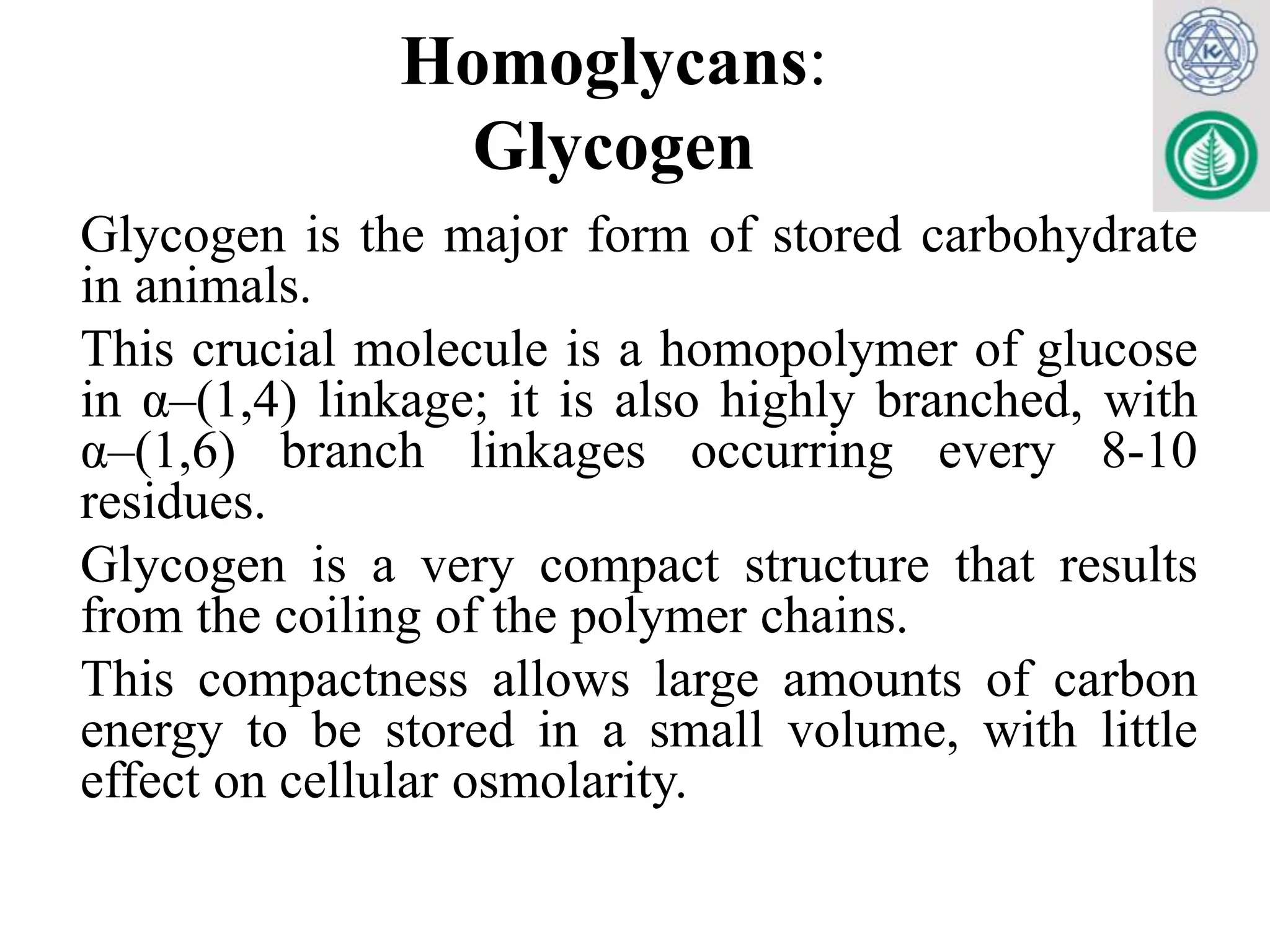Biochemistry of Carbohydrates for MBBS, BDS, Lab Med 2024.pptx