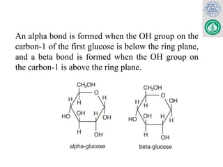 Biochemistry of Carbohydrates for MBBS, BDS, Lab Med 2024.pptx