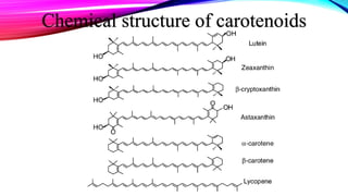 lecture note Biochemistry of Carotenoids.pptx