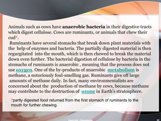 Cellular Biochemistry | PPTX