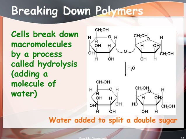 Biochemistry Of Cellsppt | PPT