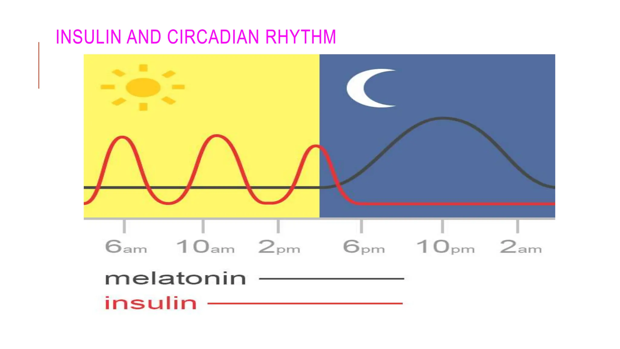 BIOCHEMISTRY OF CIRCADIAN RHYTHM.pptx