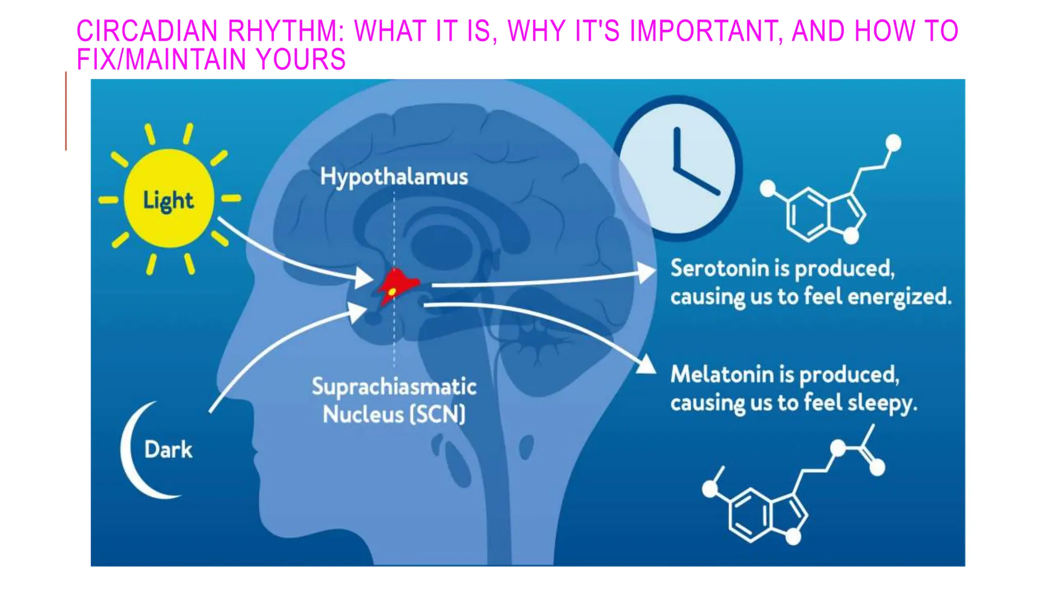 BIOCHEMISTRY OF CIRCADIAN RHYTHM.pptx