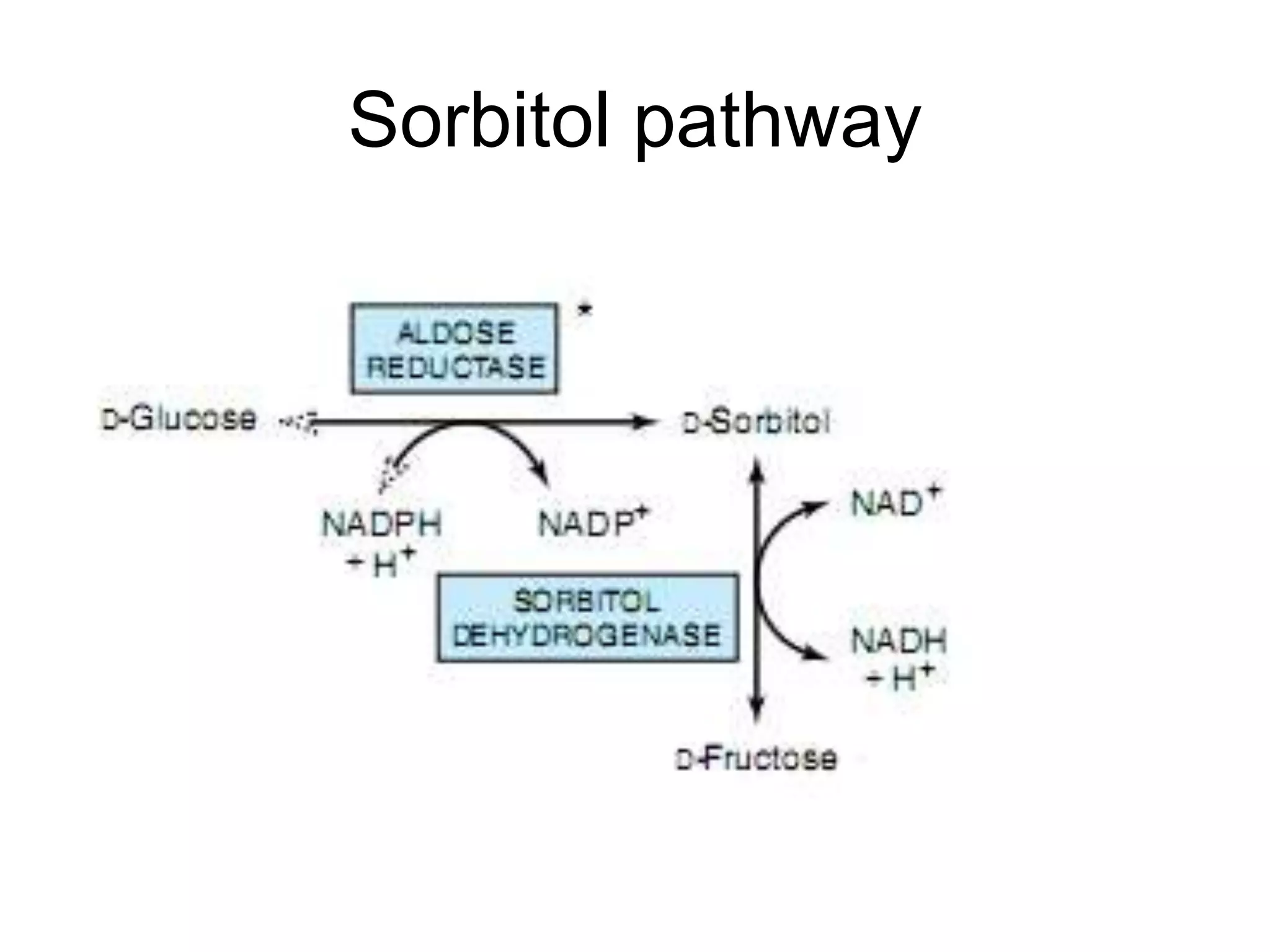 biochemistry of diabetes.ppt