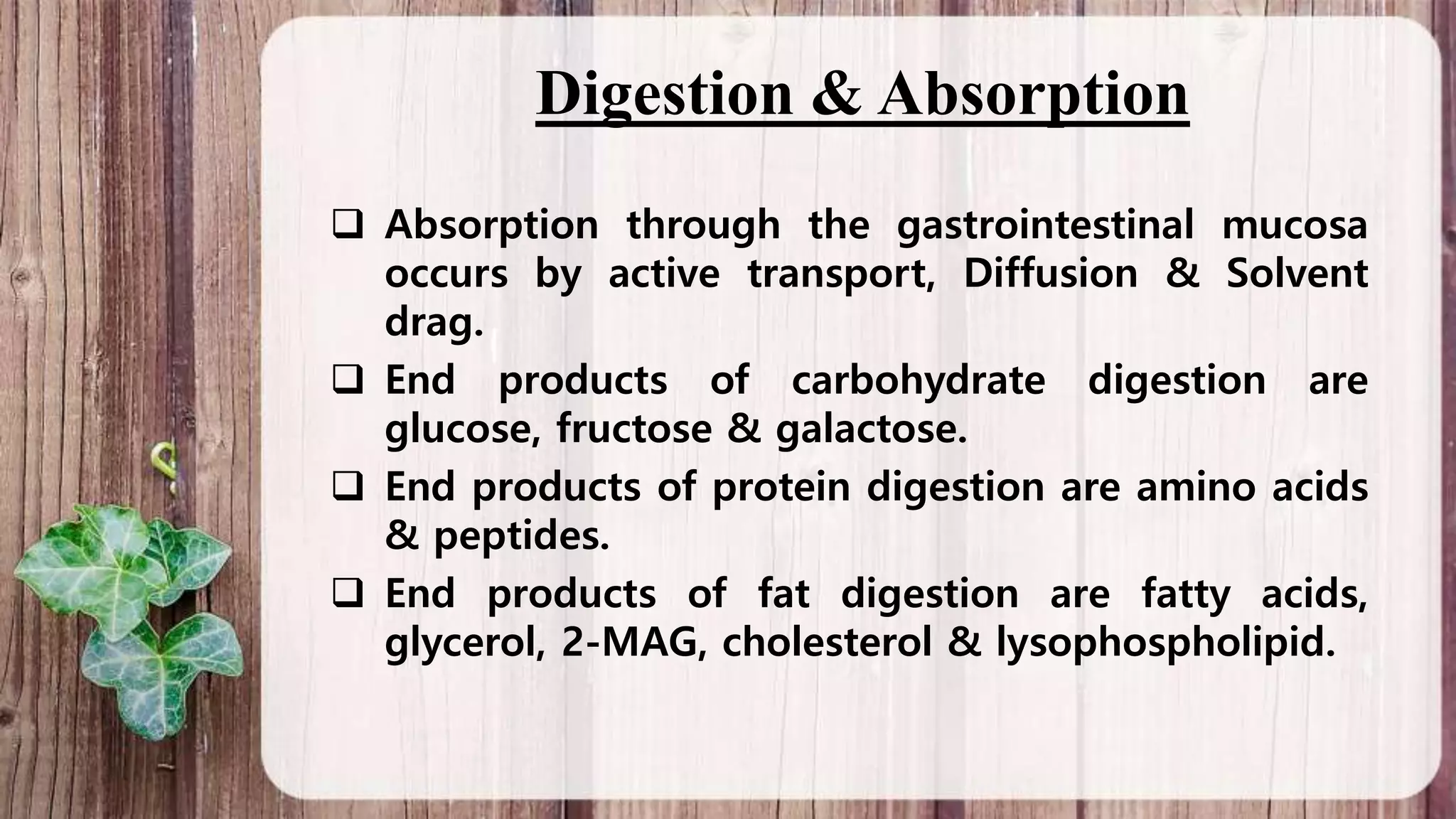 Biochemistry of Digestion & Absorption | PPTX