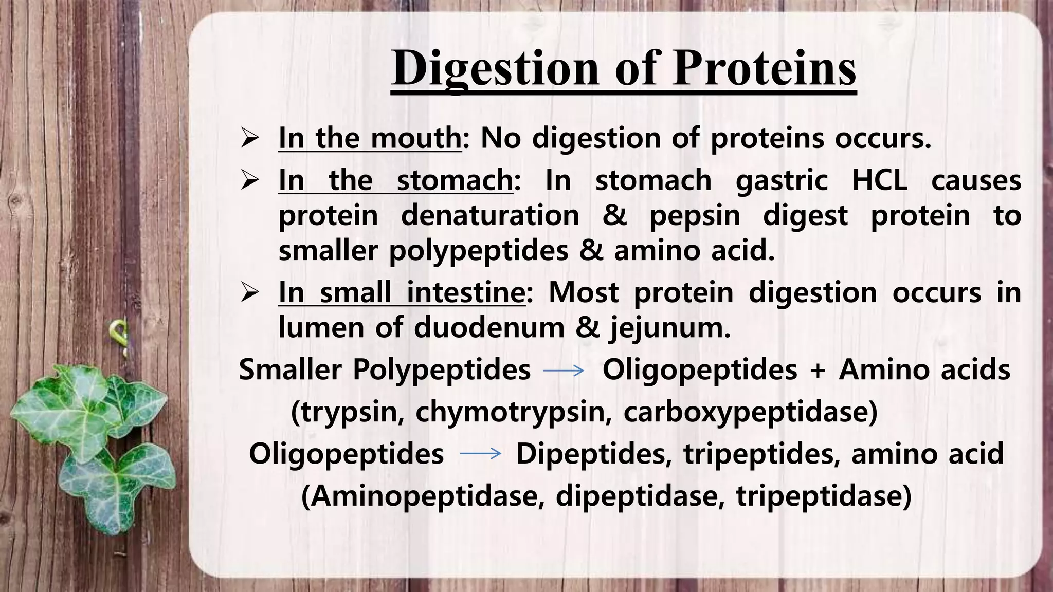 Biochemistry of Digestion & Absorption | PPTX