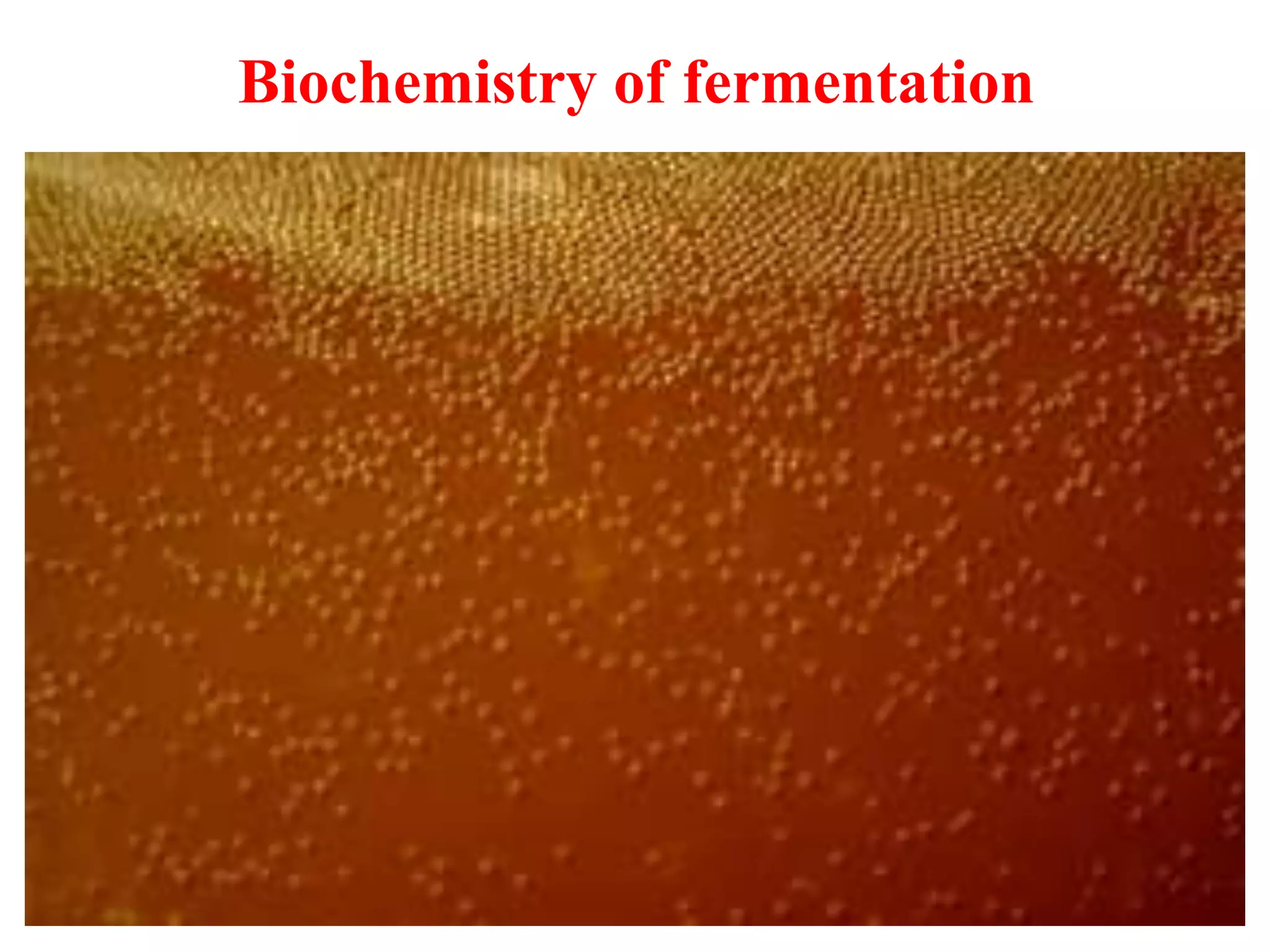 Biochemistry of fermented foods | PPTX