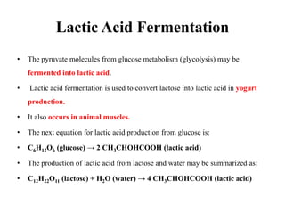 Lactic Acid Fermentation Equation