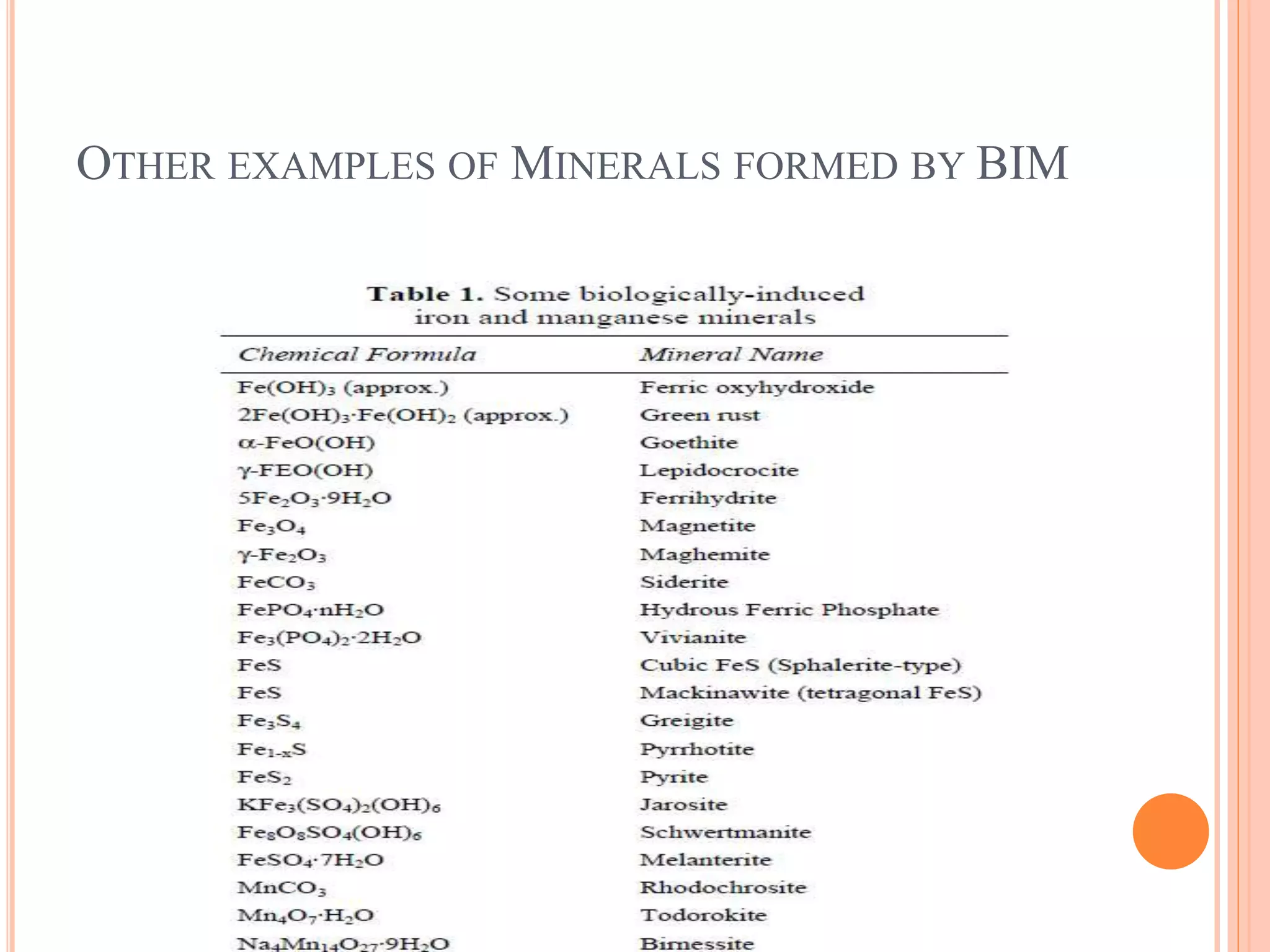 Biochemistry of geo microbes & Biomineralization | PPTX