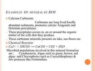 Biochemistry of geo microbes & Biomineralization | PPTX