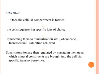 Biochemistry of geo microbes & Biomineralization | PPTX