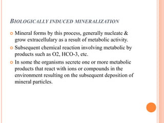 Biochemistry of geo microbes & Biomineralization | PPTX
