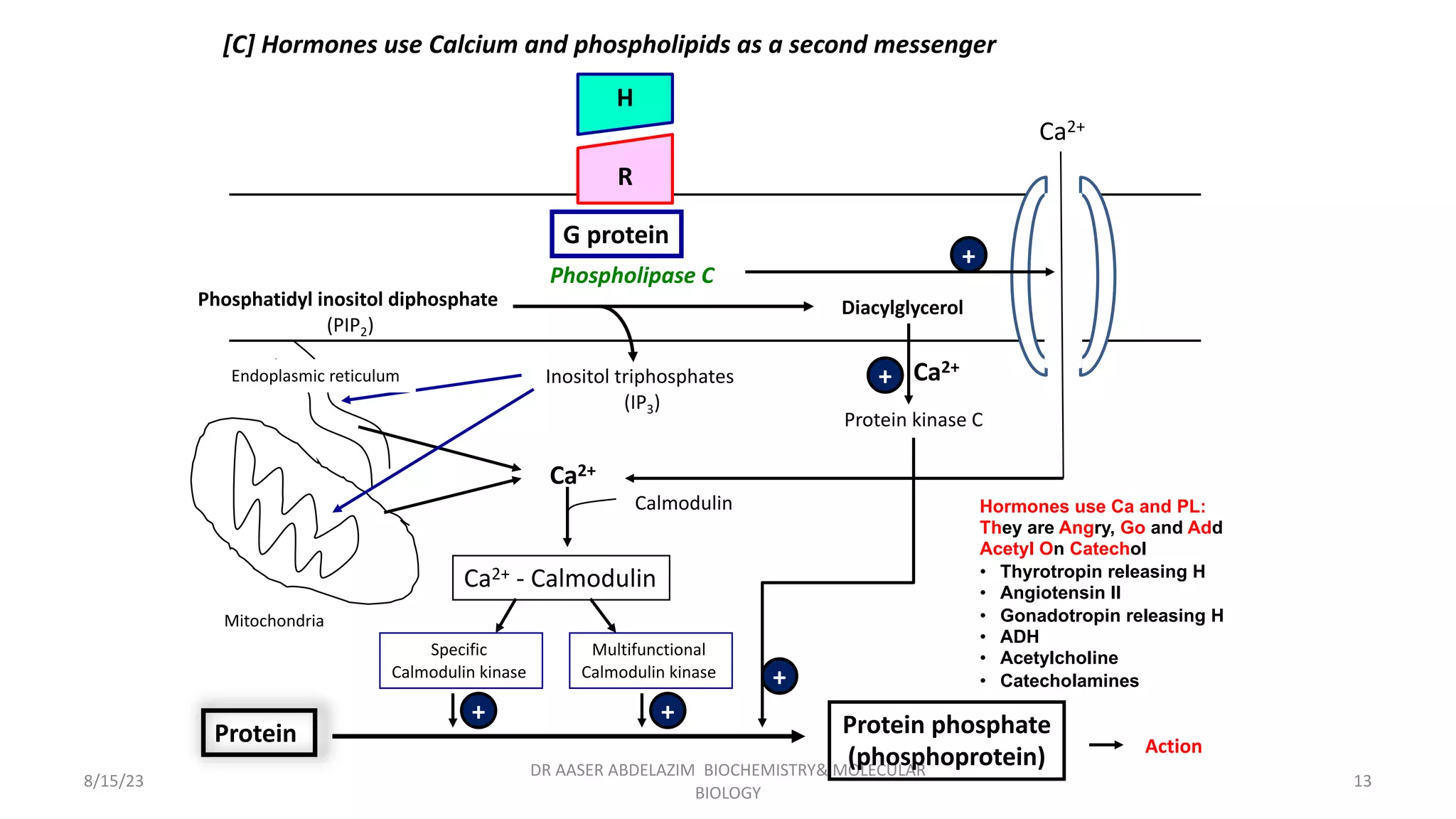 Biochemistry of hormones | PDF