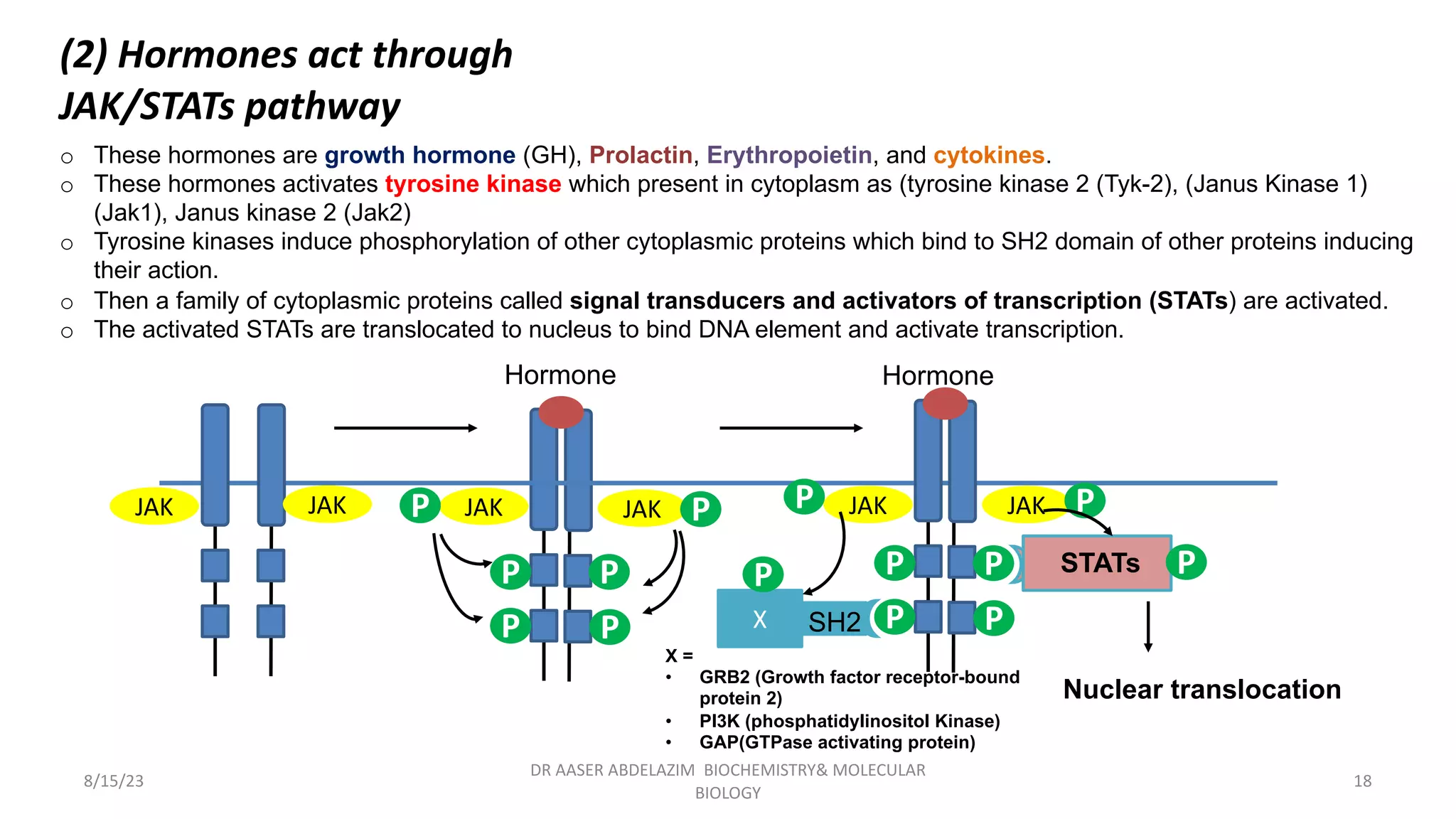Biochemistry of hormones | PDF
