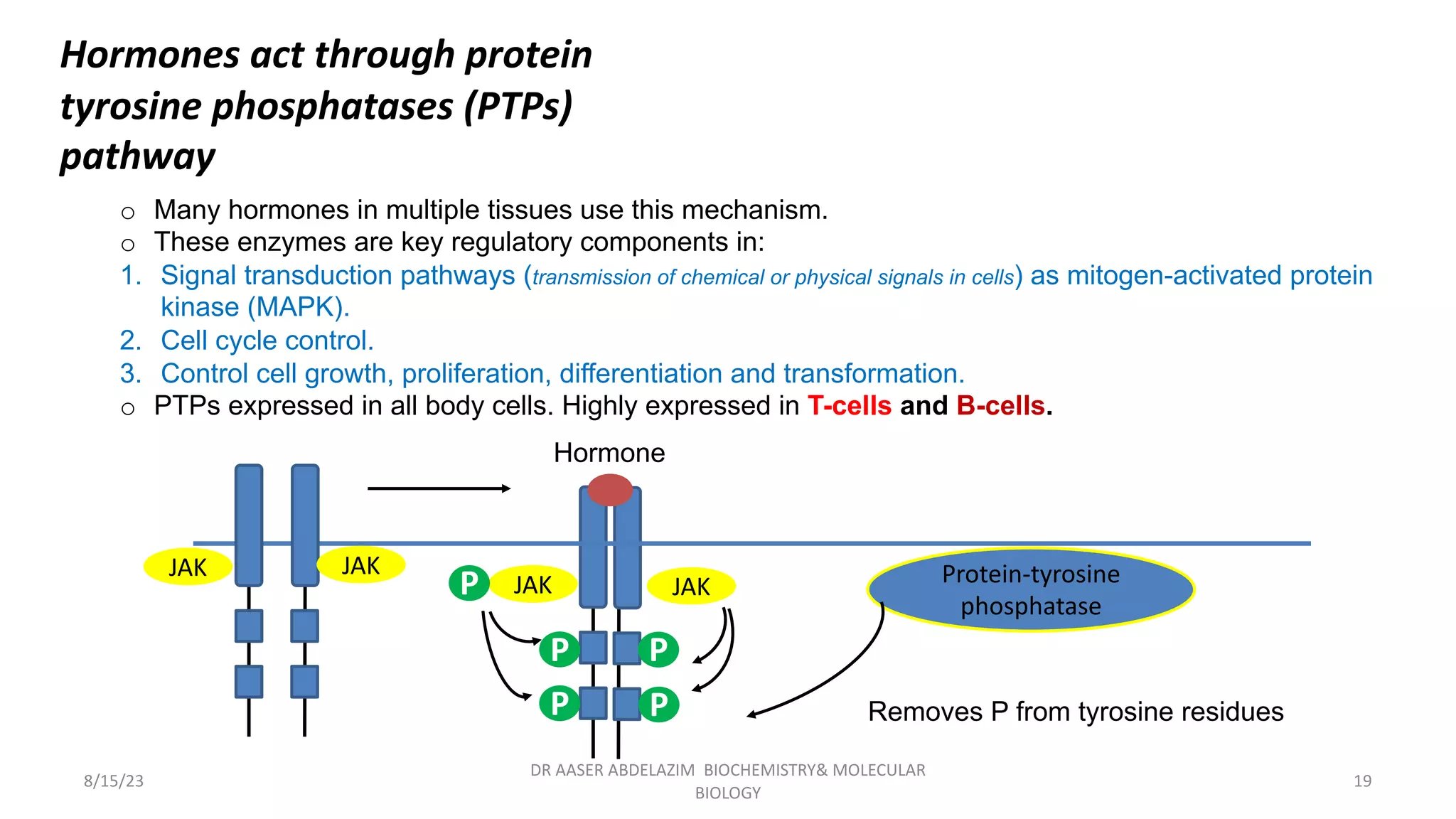 Biochemistry of hormones | PDF