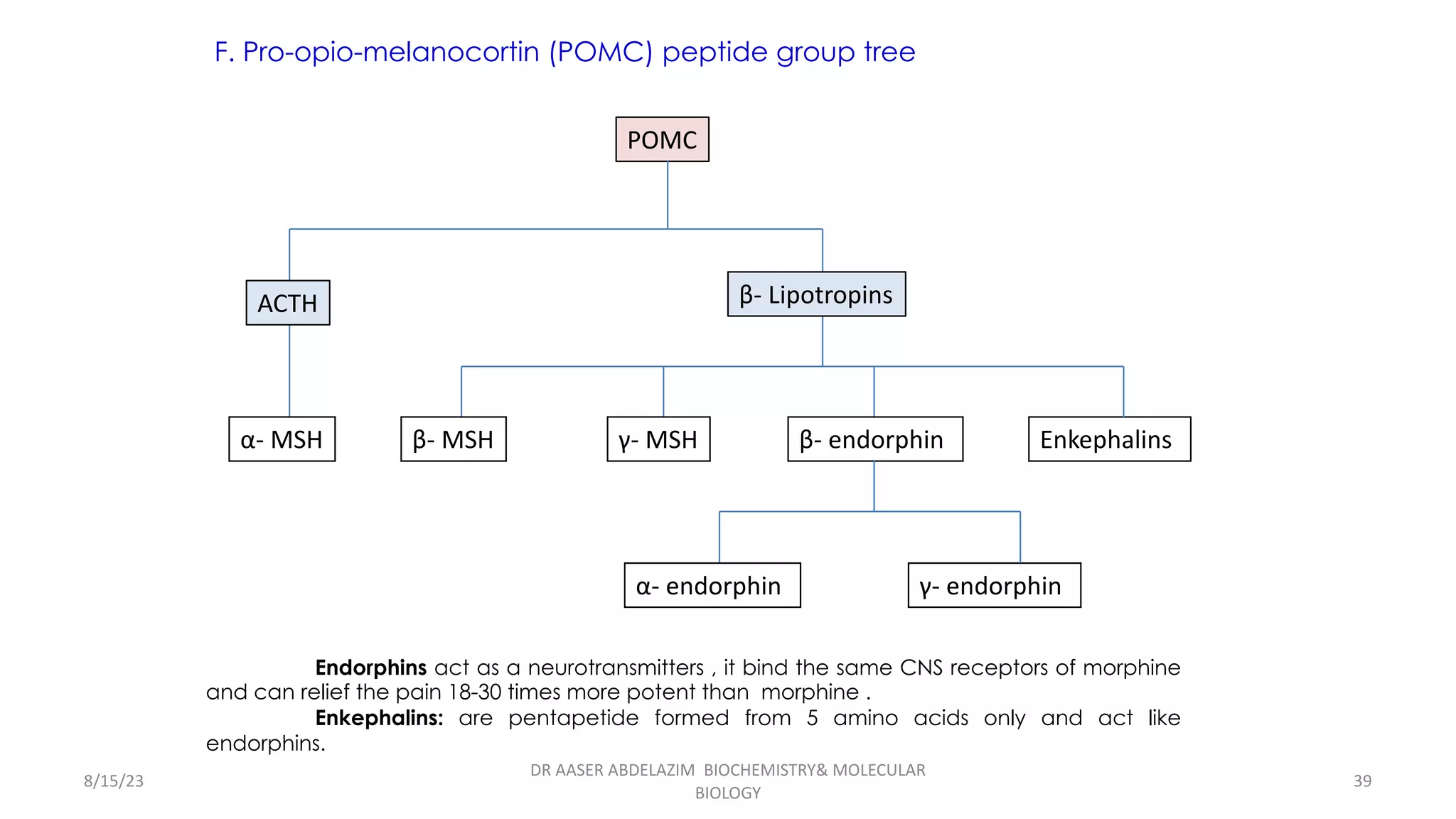 Biochemistry of hormones | PDF