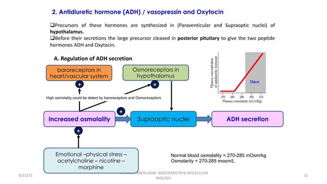 Biochemistry of hormones | PDF